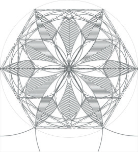 Immersion Wheel Final Report Part 1 – What and How – Aesthetics of Design