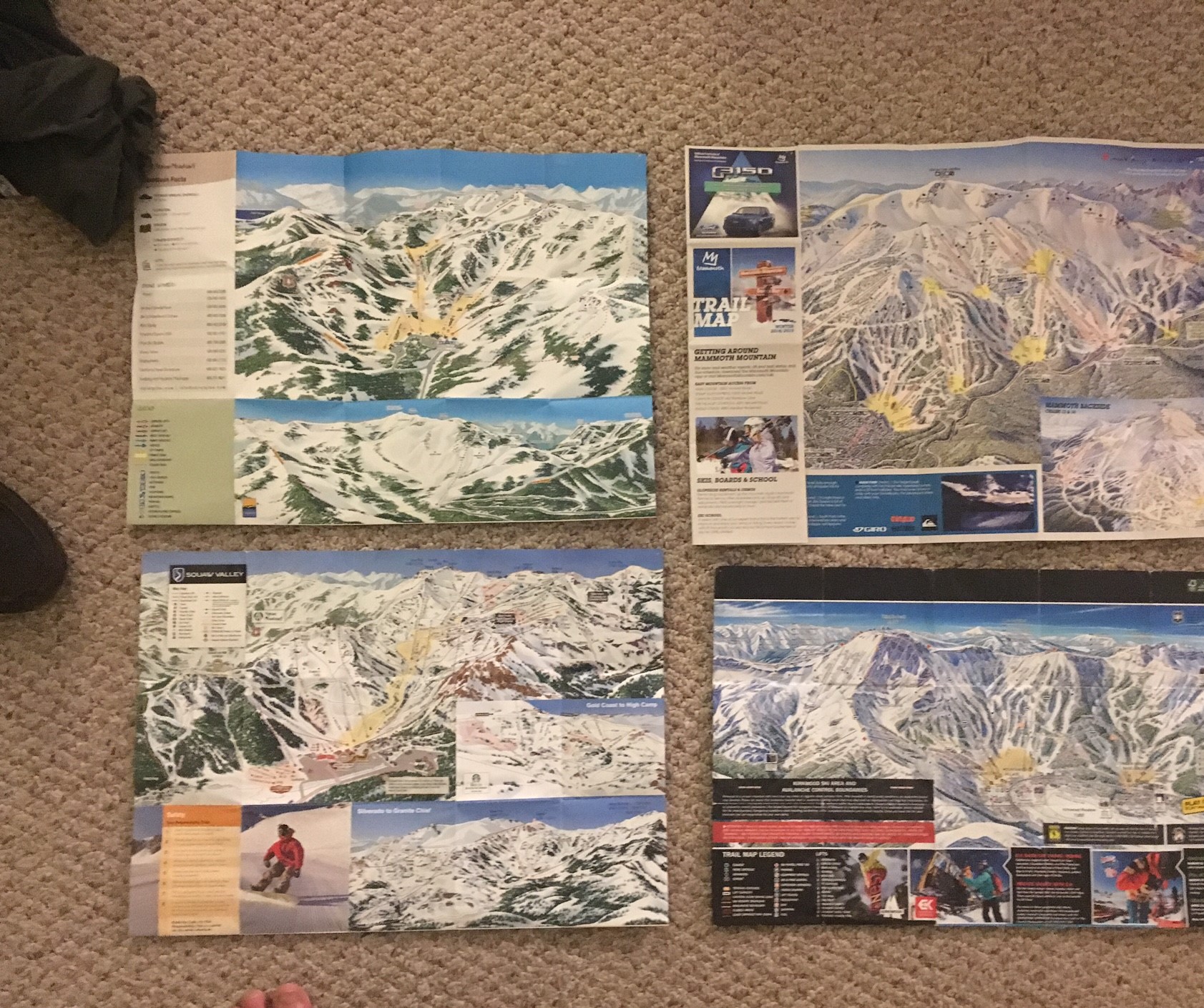 Upcycle Final Report: Trail Maps – Aesthetics of Design