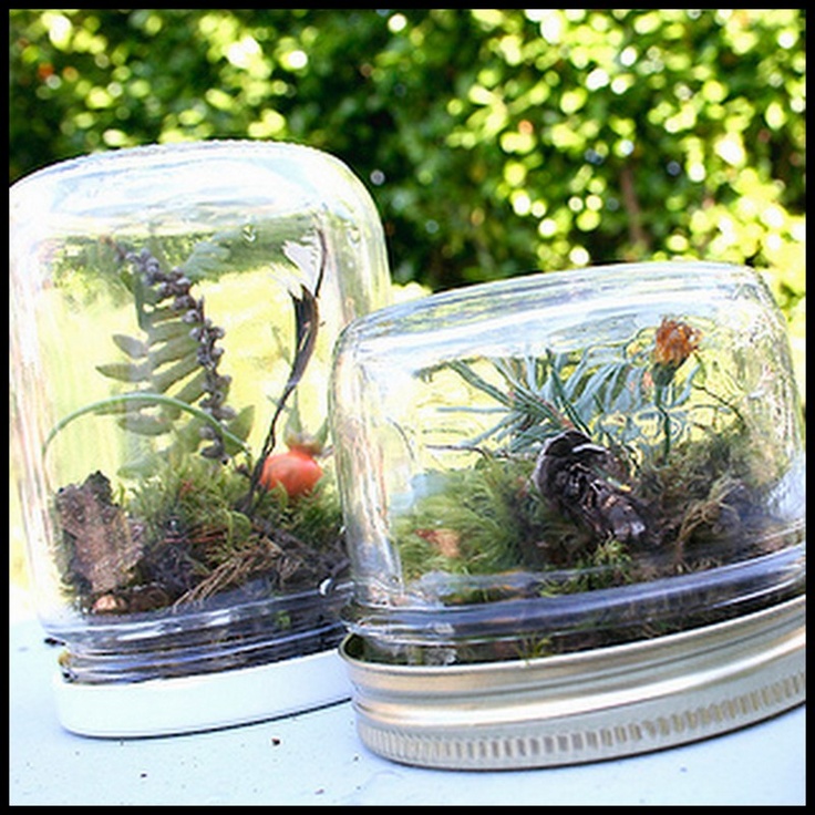 Upcycle Progress: Jar Terrariums – Aesthetics of Design