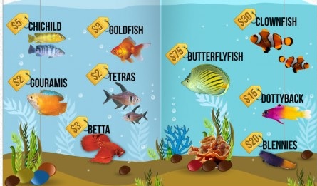 Main Project Inspirations: Upside Down Fish Tank – Aesthetics of Design