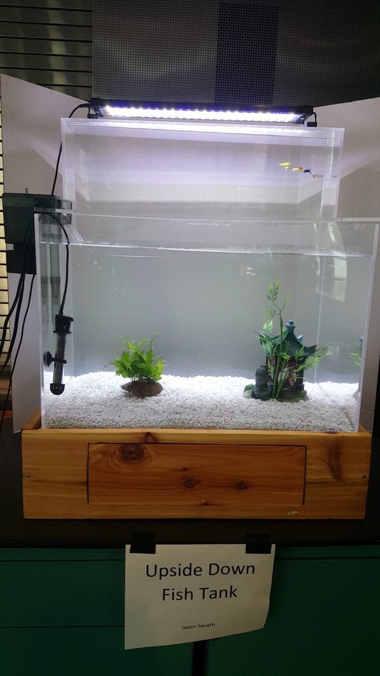Main Project Report Part 1: Upside Down Fish Tank – Aesthetics of Design