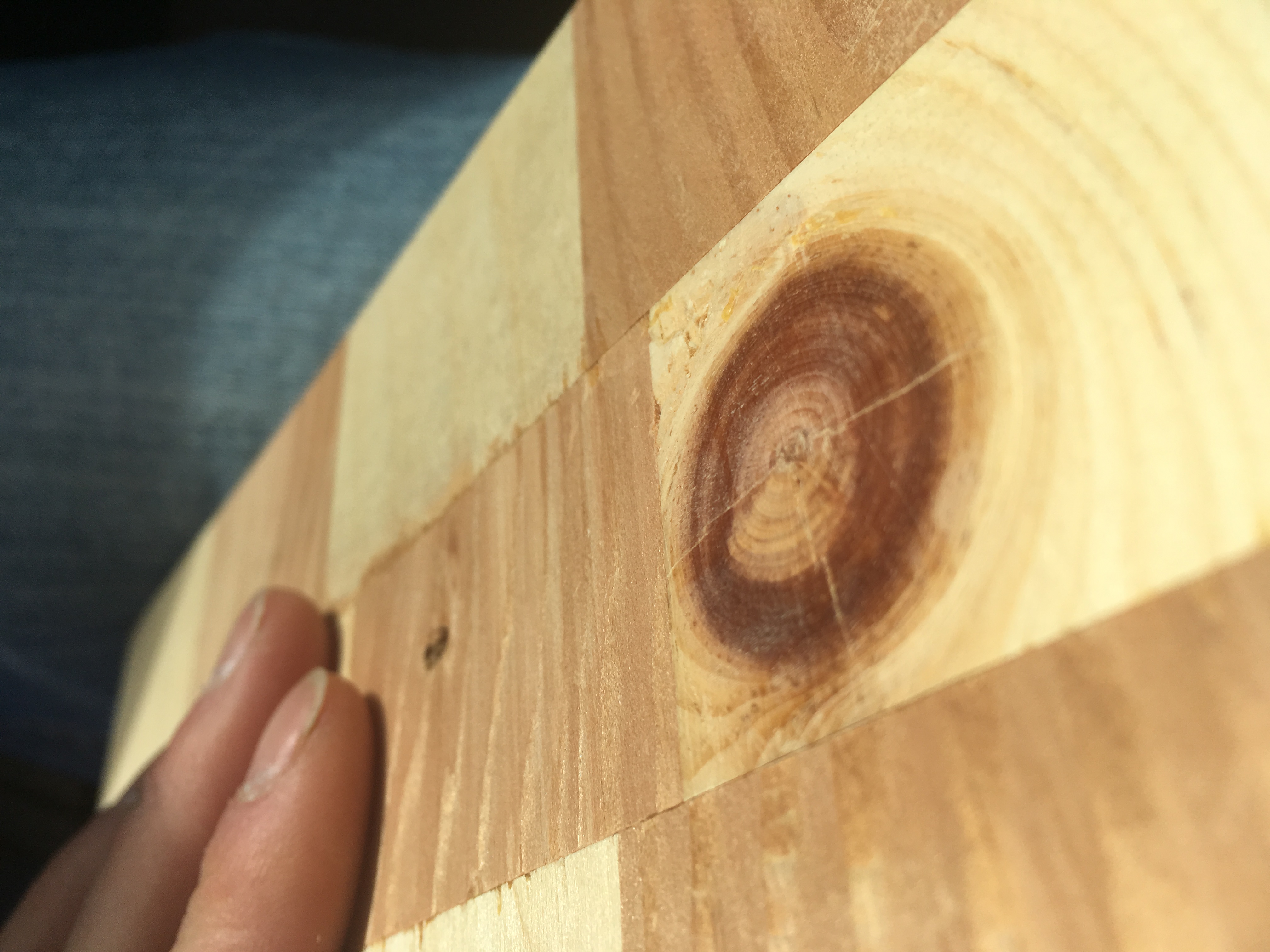 Chess Board-Benjamin Fried