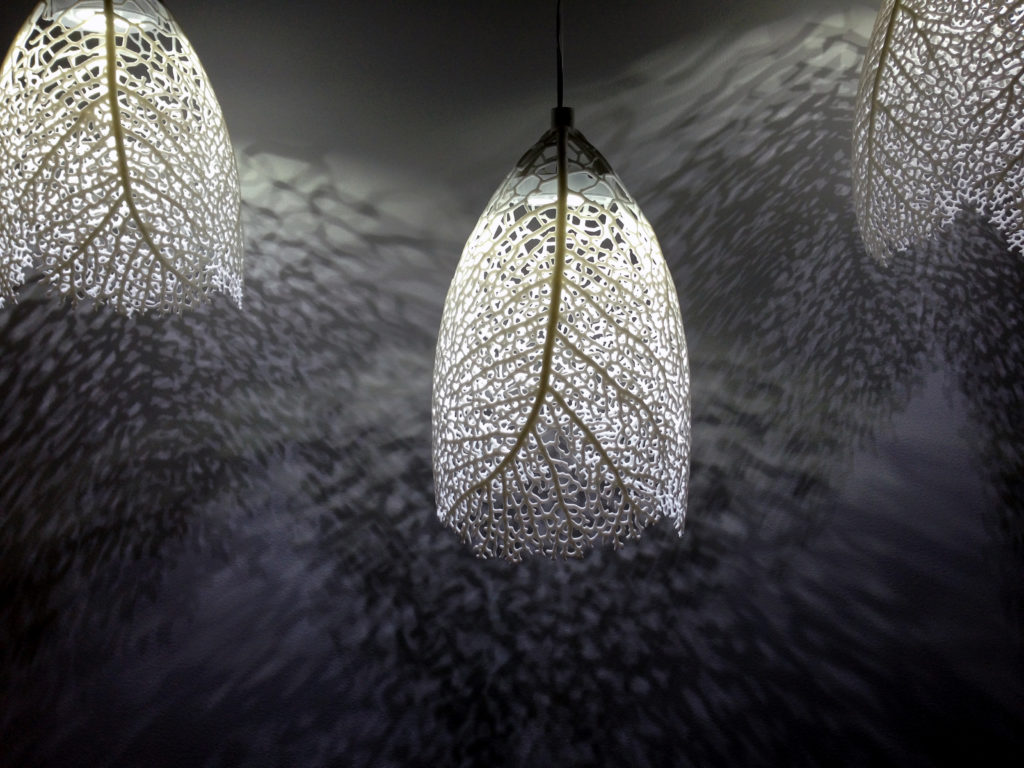 Aesthetic Explorations – Biomimicry – Aesthetics of Design
