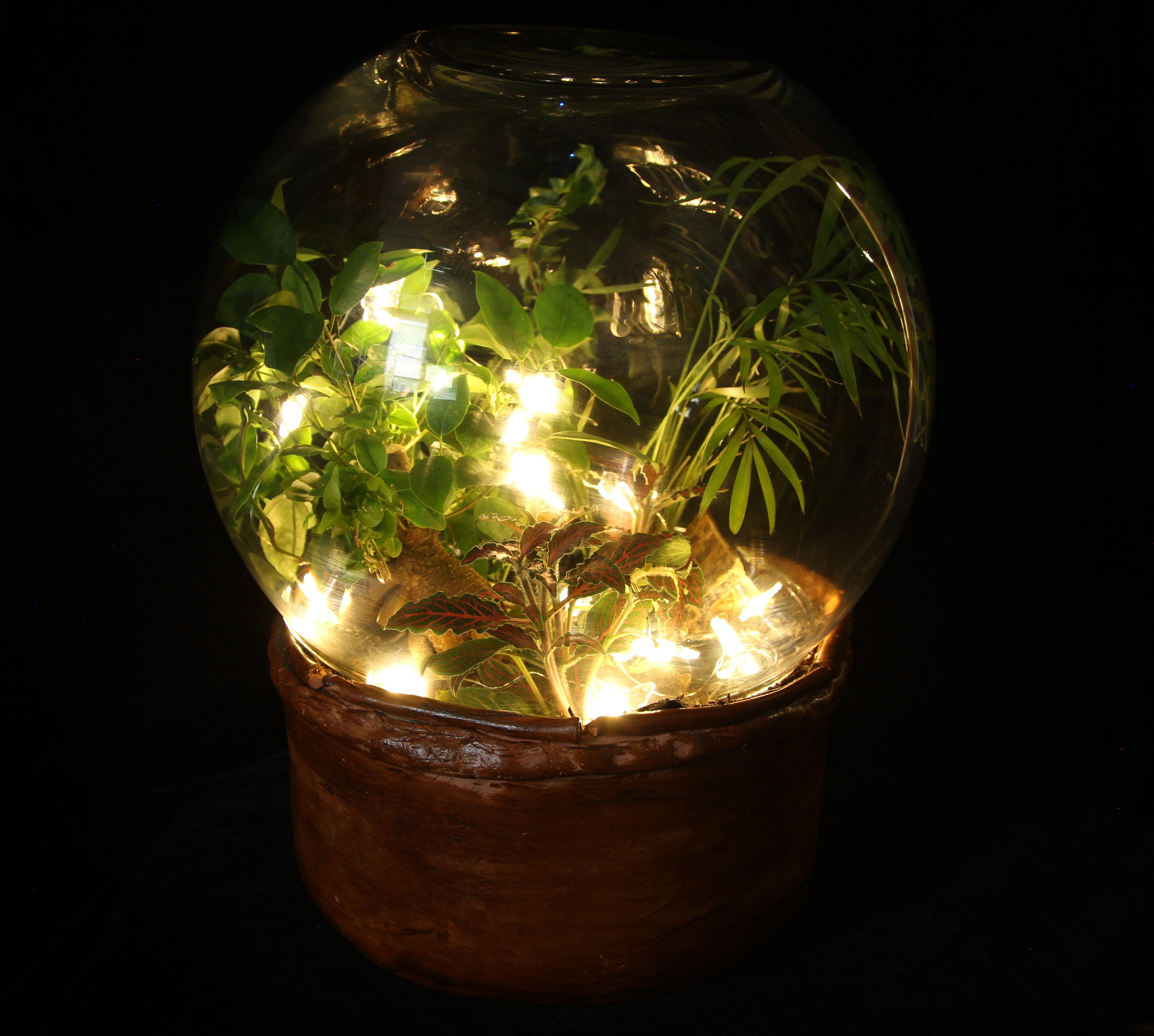 Main Project Report Part 1: Terrarium Snow Globe – Aesthetics of Design