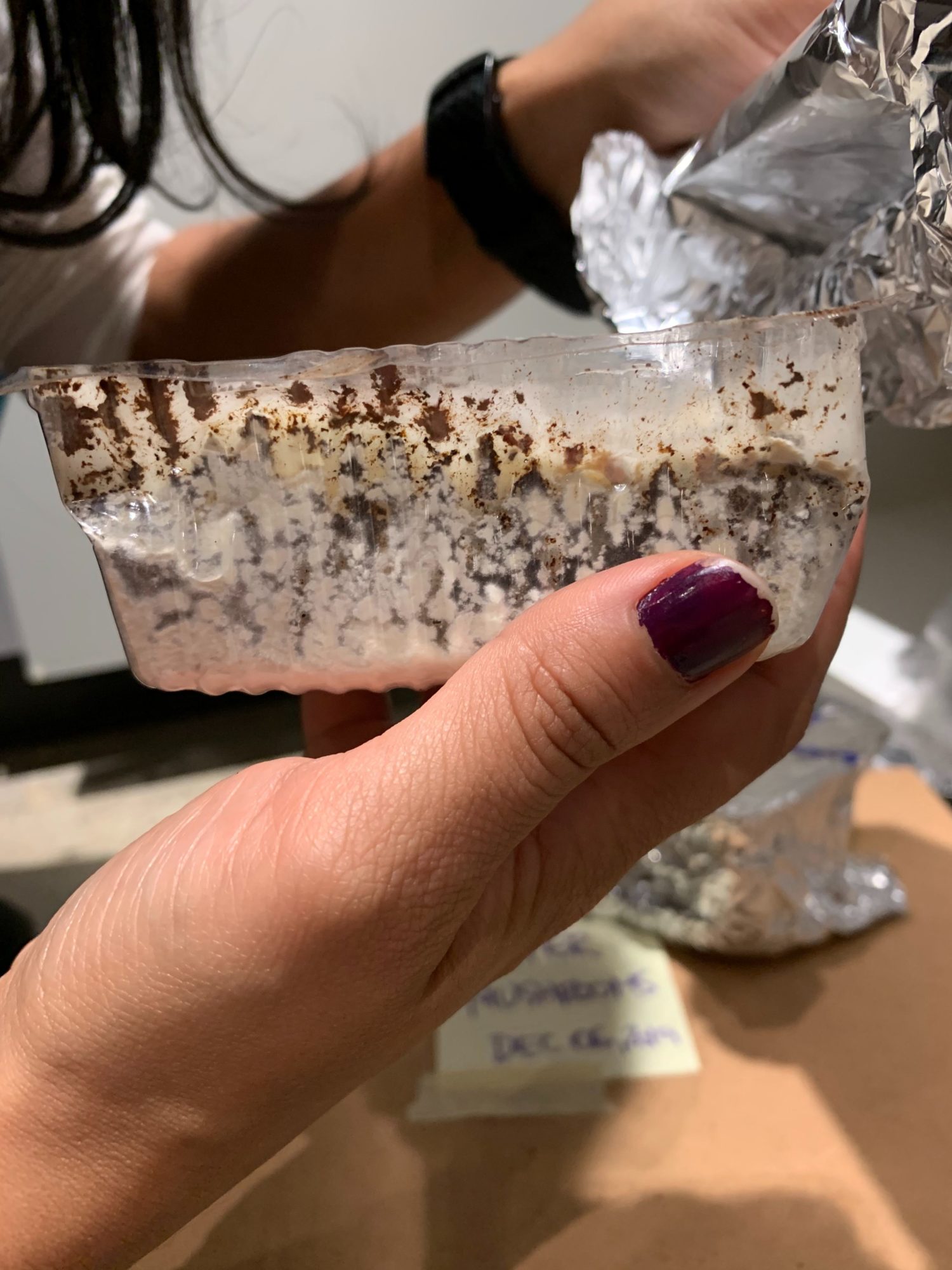 Upcycle Inspiration: Mycelium – Aesthetics of Design