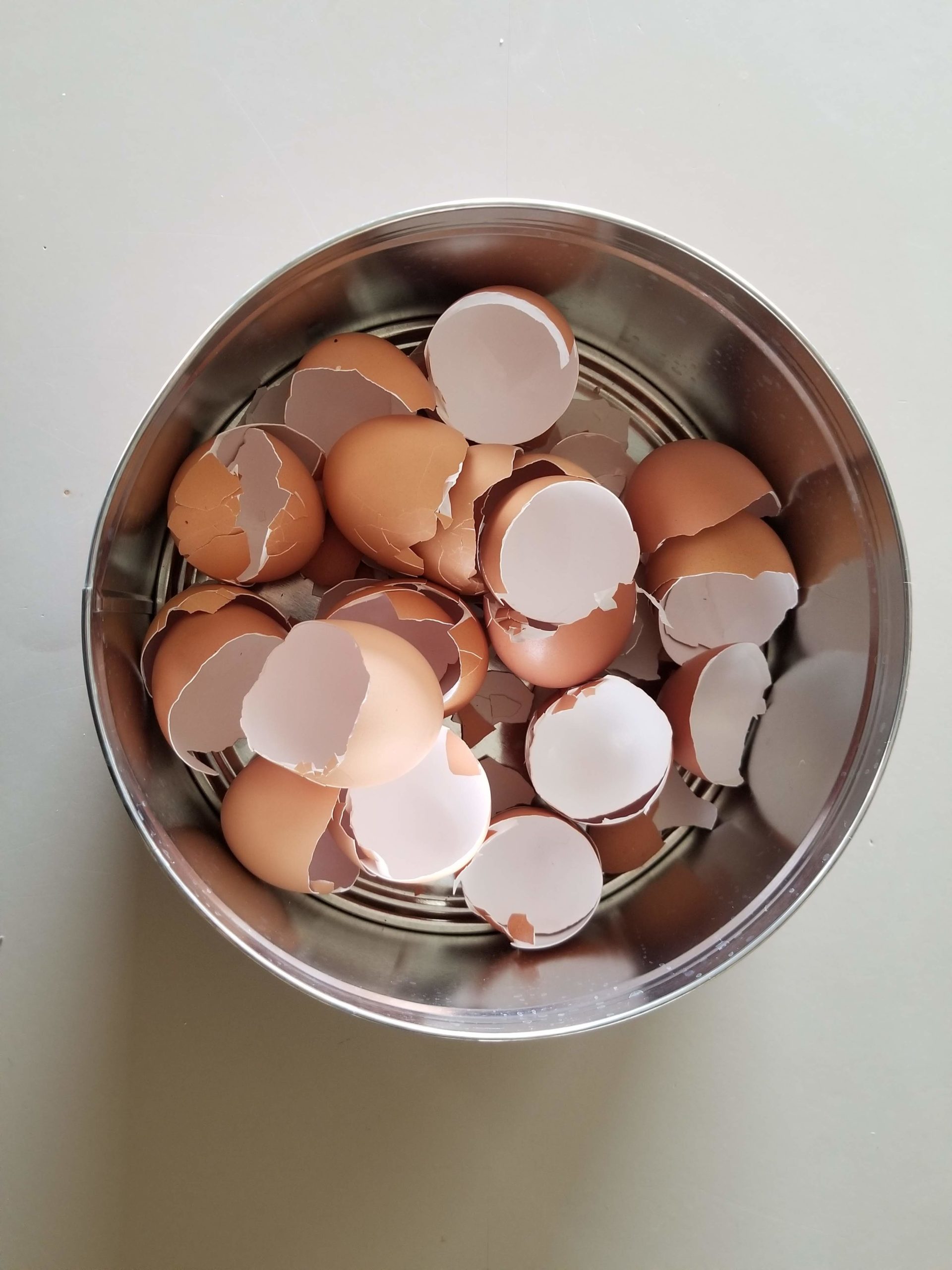 Upcycle Final Report: Egg Shell Egg – Aesthetics of Design