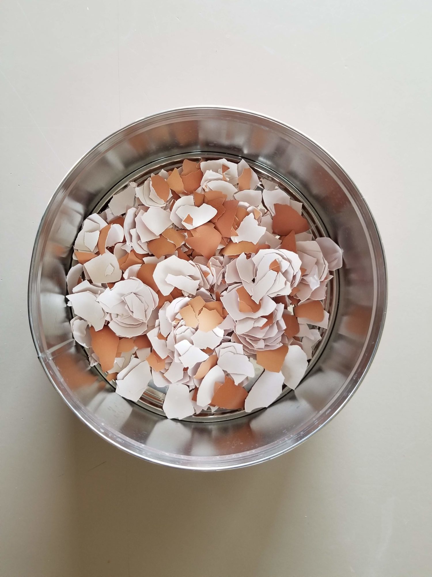 Upcycle Final Report: Egg Shell Egg – Aesthetics of Design