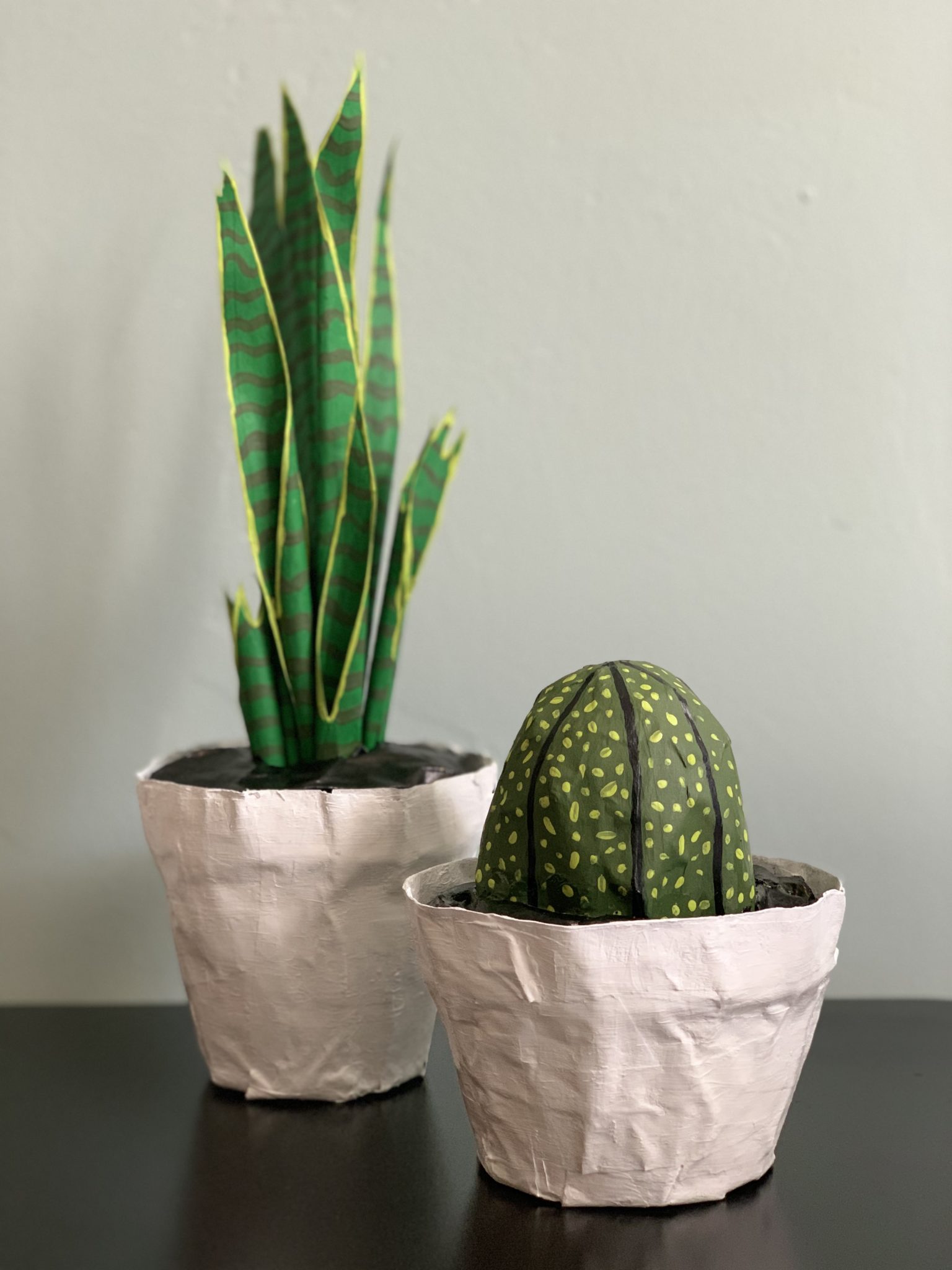 Upcycle Final Report: Papier-Mâché Plants – Aesthetics of Design