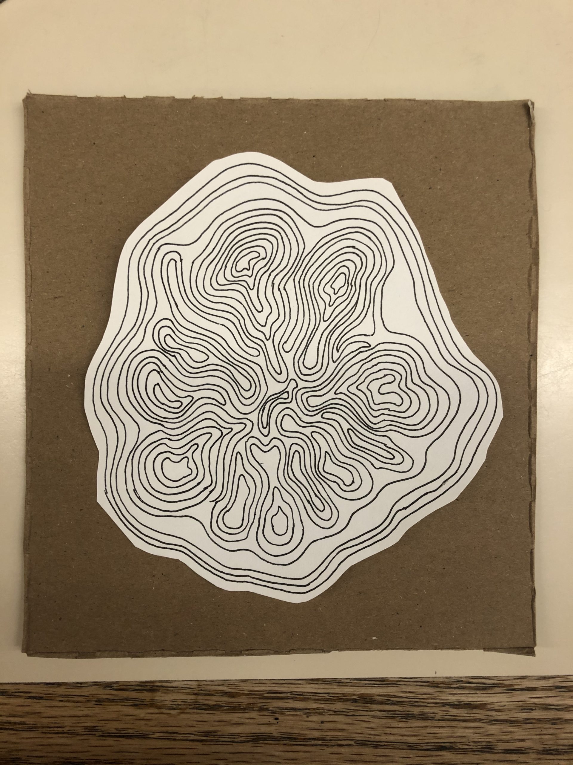 Cardboard Art – Aesthetics of Design