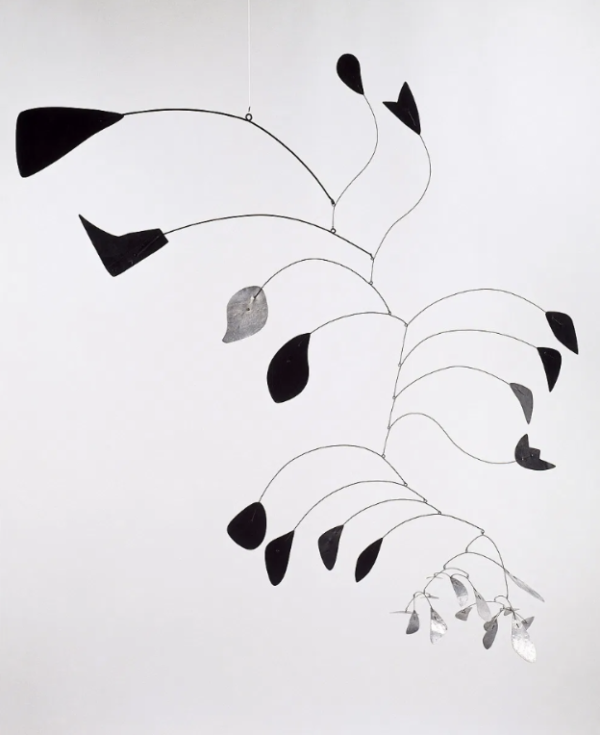 Top 5 Constraints: Automata – Aesthetics of Design