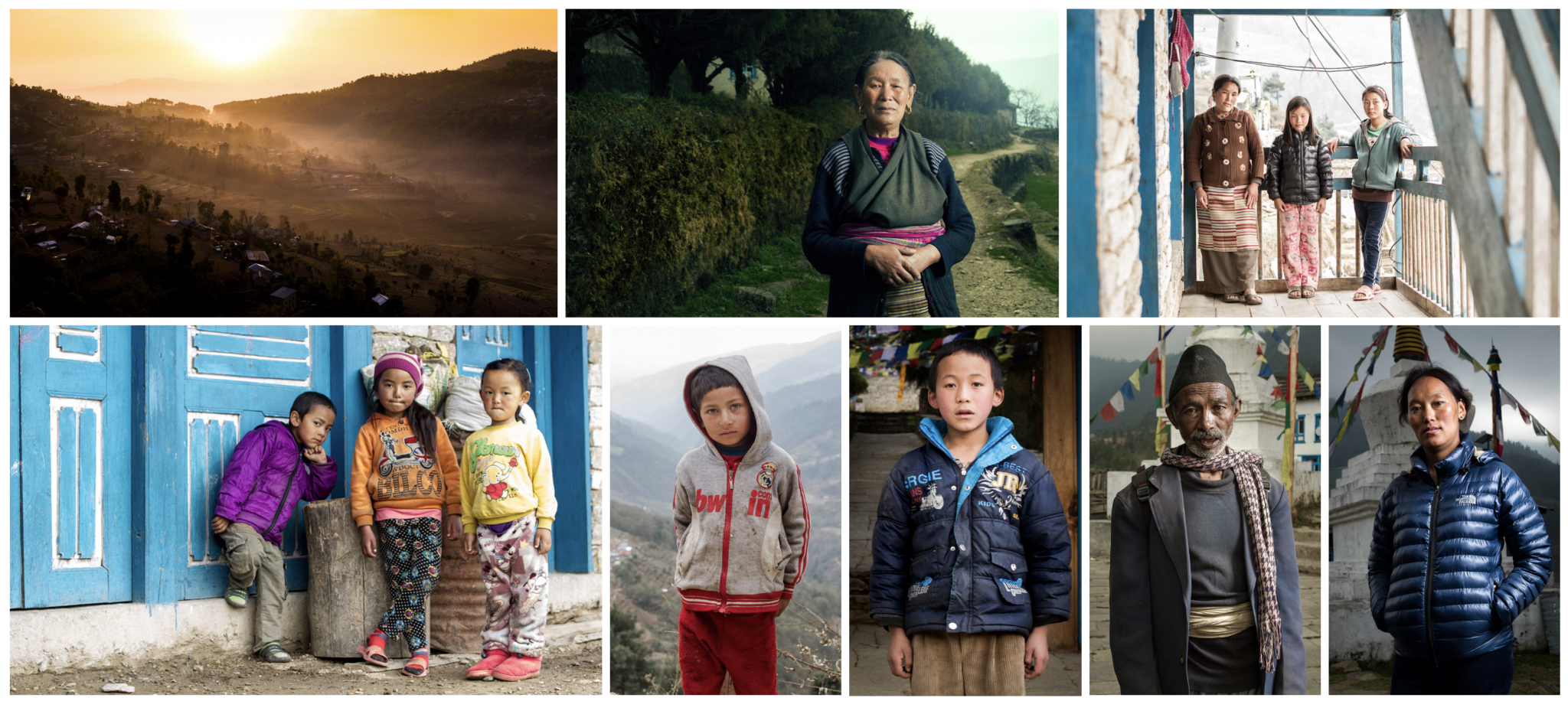 Aesthetic Roots – Aesthetics of Design