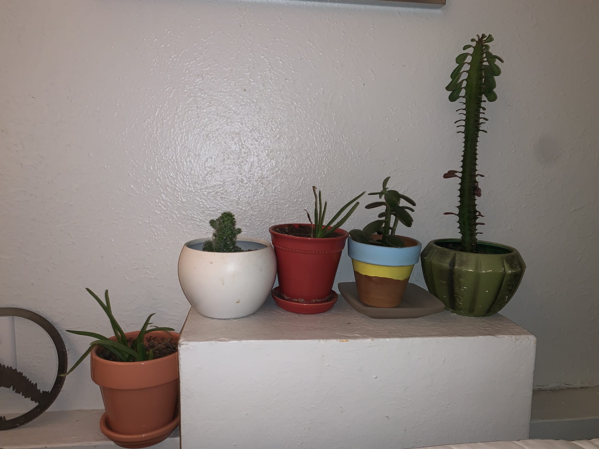 Main Project Ideas and Inspirations – Aesthetics of Design