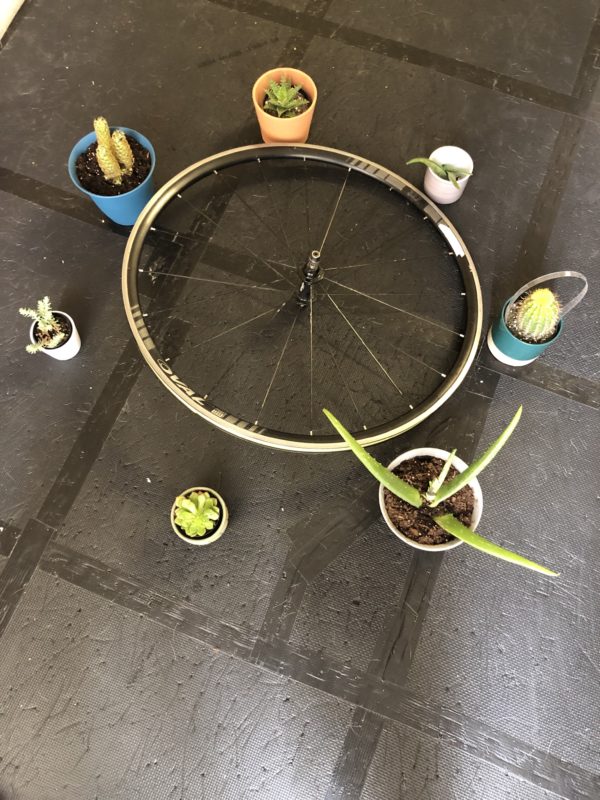 Design Preview: Rotating Plant Wheel – Aesthetics of Design