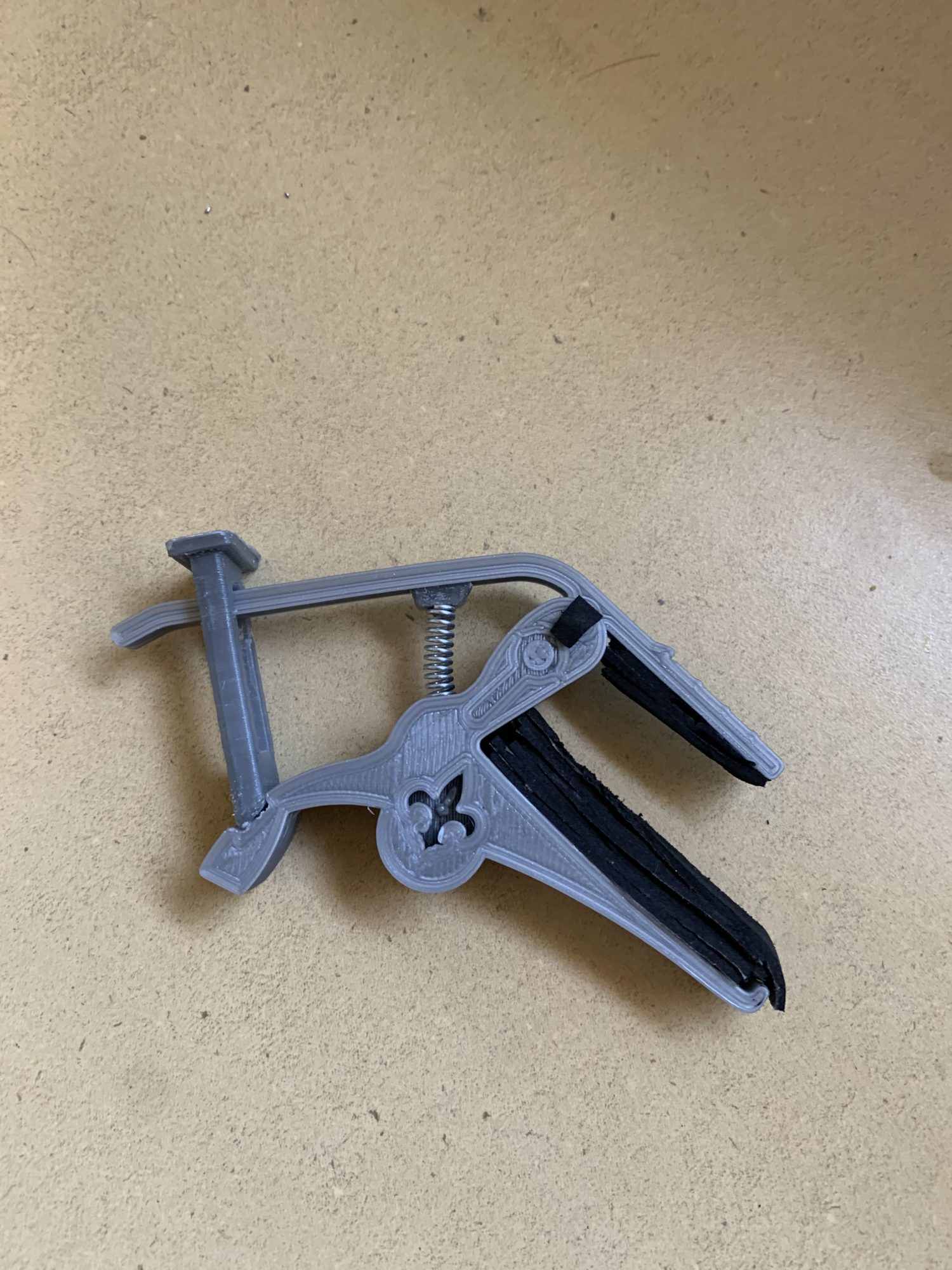 Renaissance Capo – Final Project – Aesthetics of Design