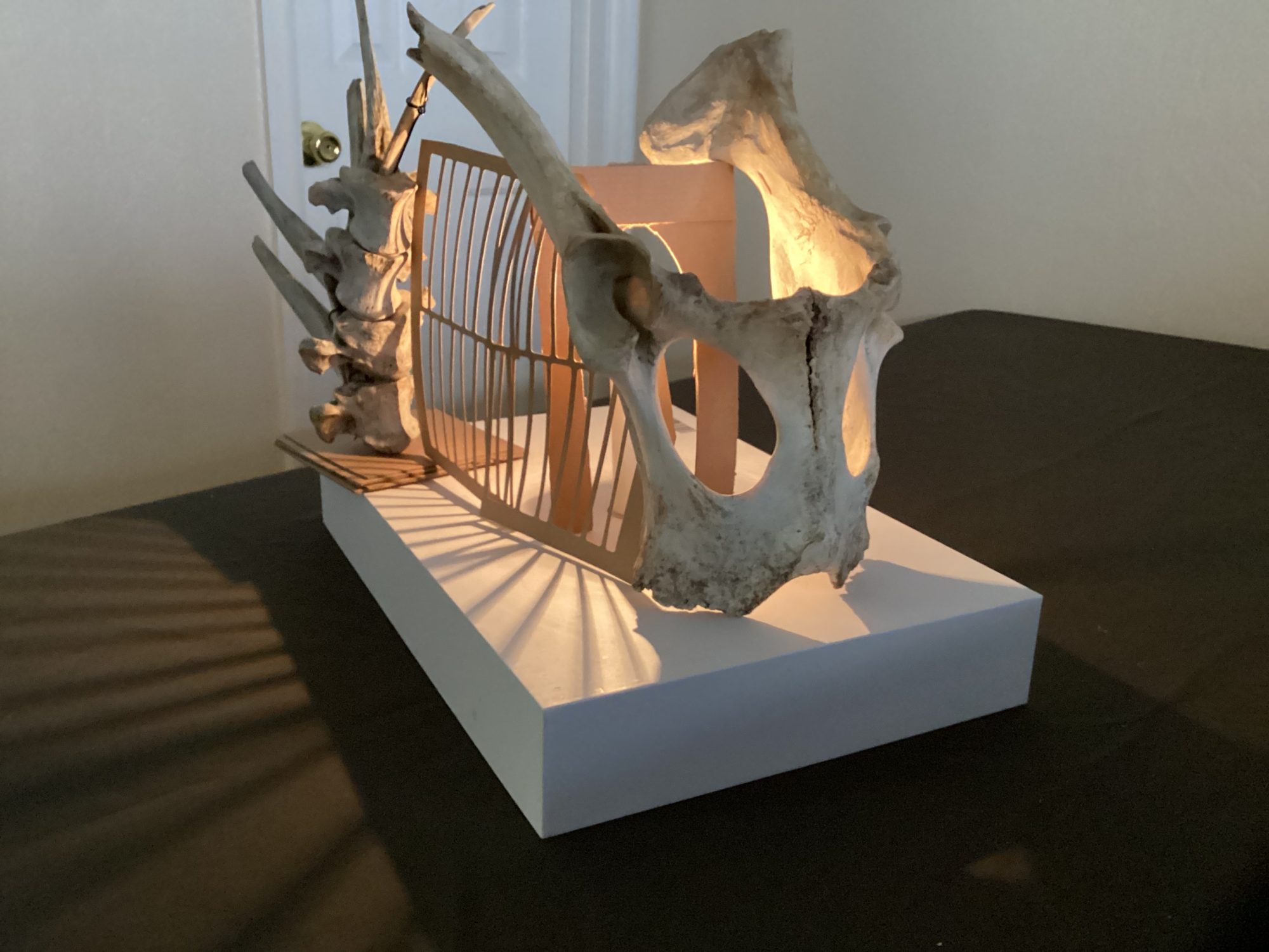 Bones Lamp: Upcycle Project Report – Aesthetics of Design