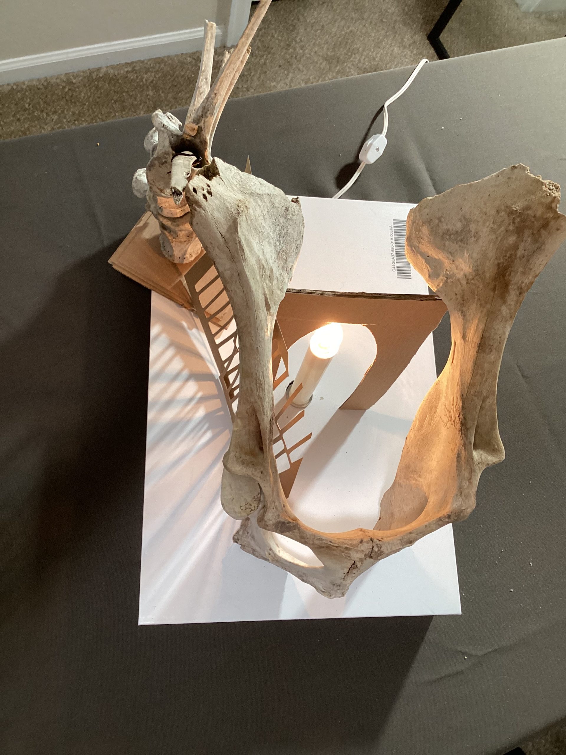 Bones Lamp: Upcycle Project Report – Aesthetics of Design