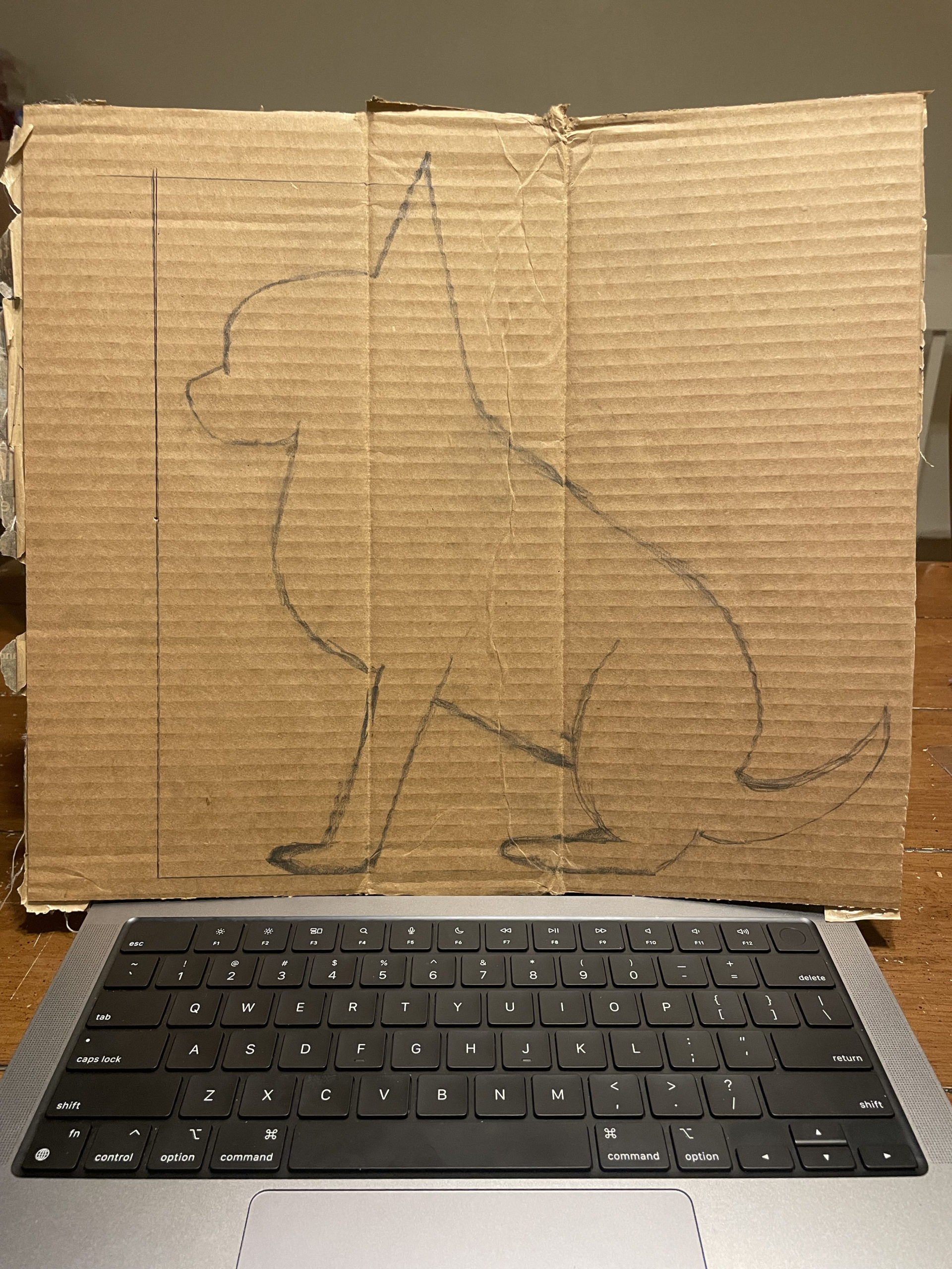 Cardboard Sculpture – Aesthetics of Design