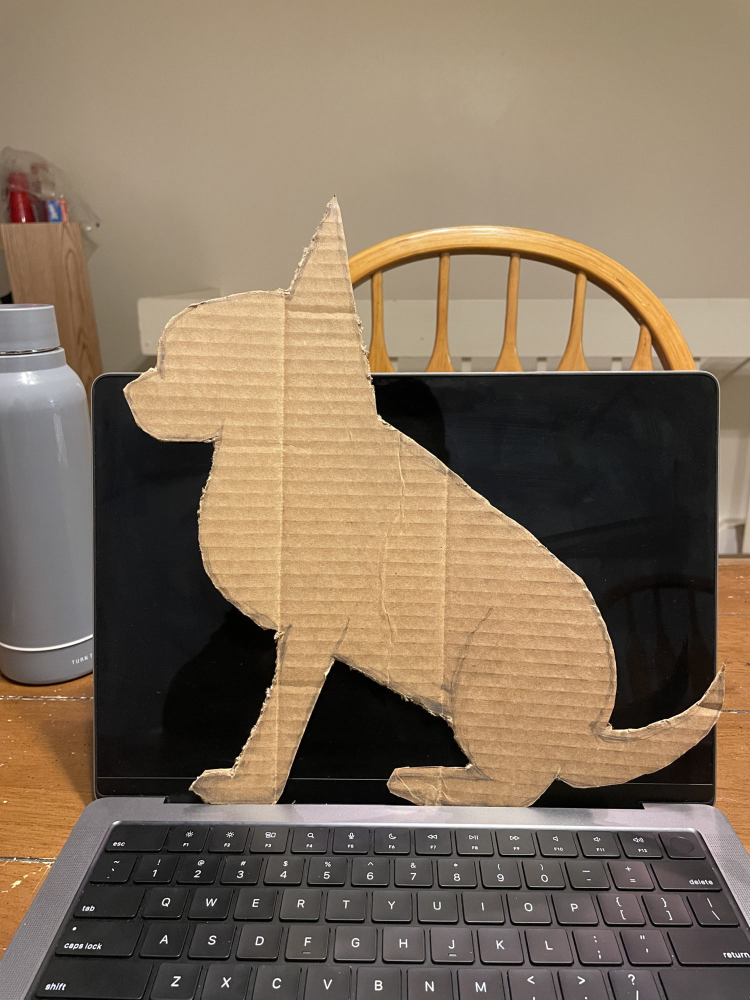 Cardboard Sculpture – Aesthetics of Design