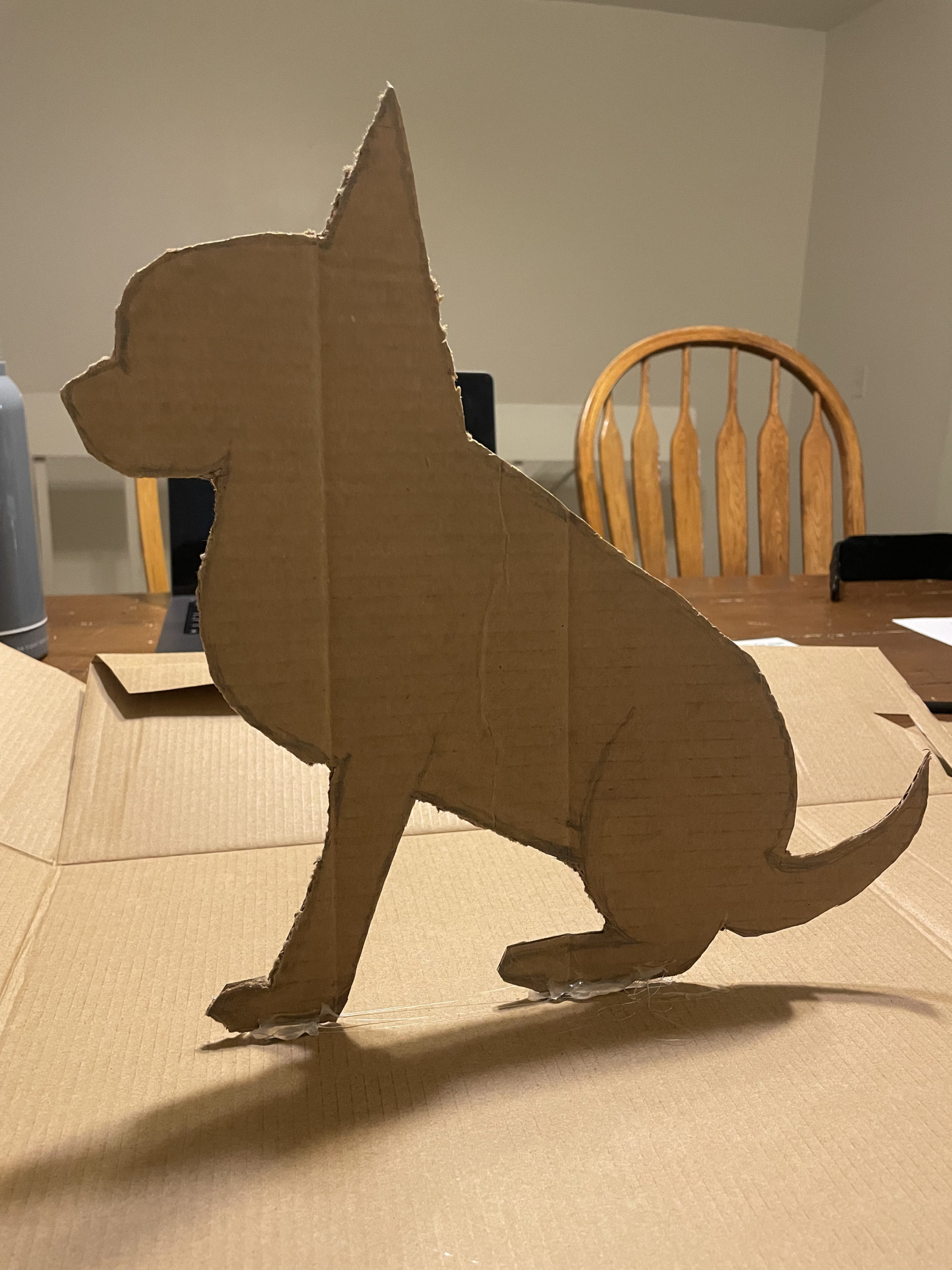 Cardboard Sculpture – Aesthetics of Design