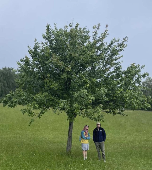 vienna tree – Aesthetics of Design