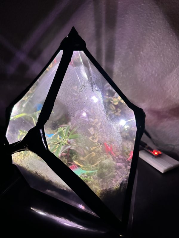 Infinity Mirror Terrarium Final Report Part 2: How – Aesthetics of Design