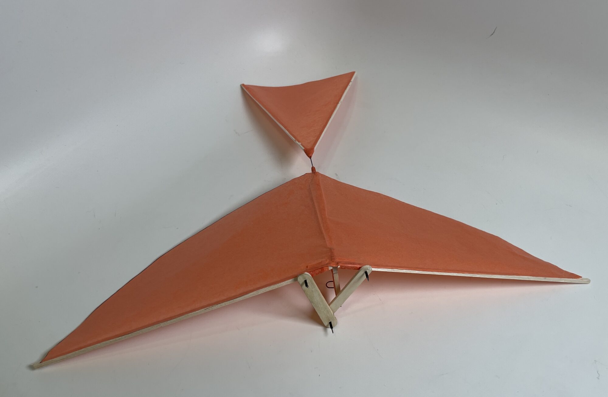 Project Ornithopter Post 12: Main Project Final Report Part 2 – Sophie ...