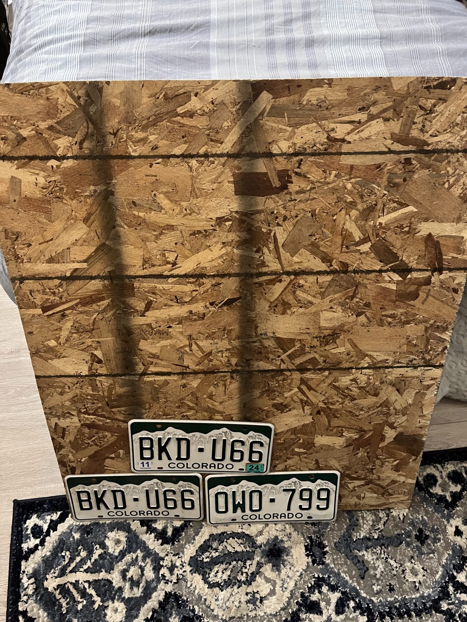 License Plate Frame – Aesthetics of Design